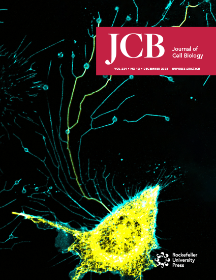 Preparing Hi-Res PDFs from PowerPoint | Rockefeller University Press